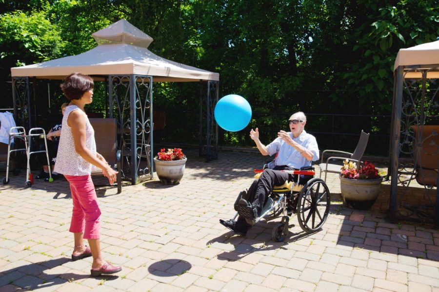 Friedwald Center – https://friedwaldcenter.com/